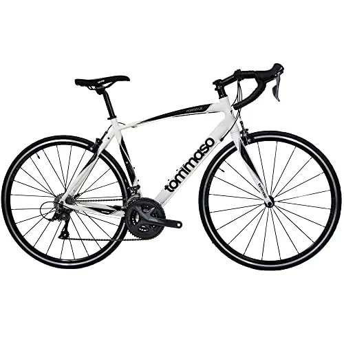 Best Road Bikes For Cheap - 2026 Reviews - Navy Cycling